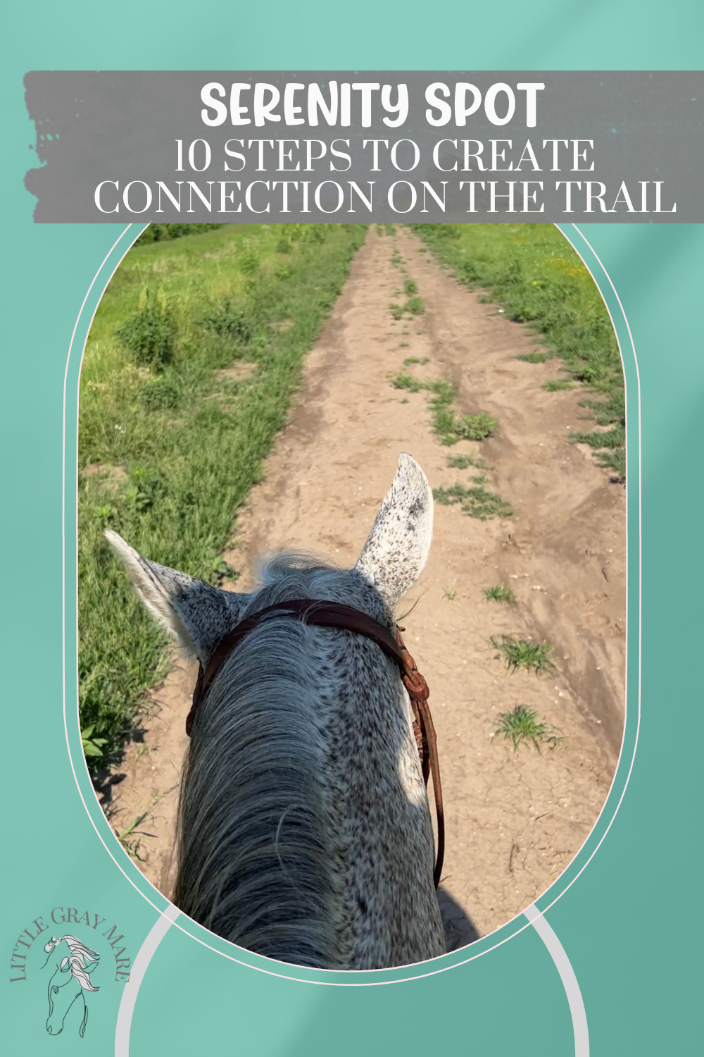 Serenity Spot Exercise: 10 Steps to Create Connection While on the ...